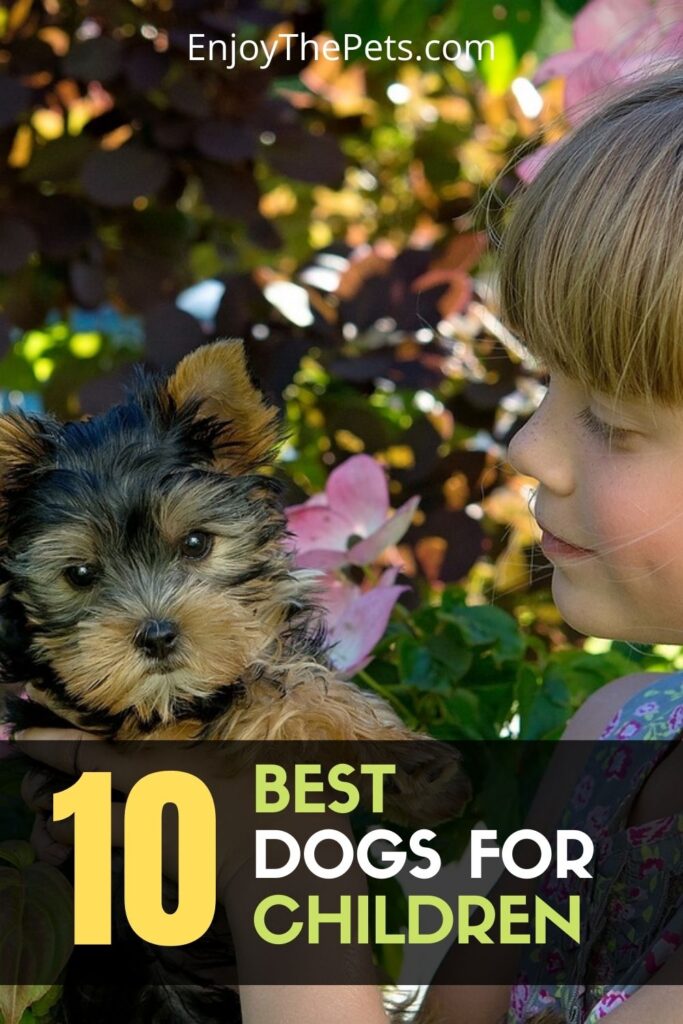 10 Best Dogs for Children (Kid-Friendly Breeds) - Enjoy The Pets