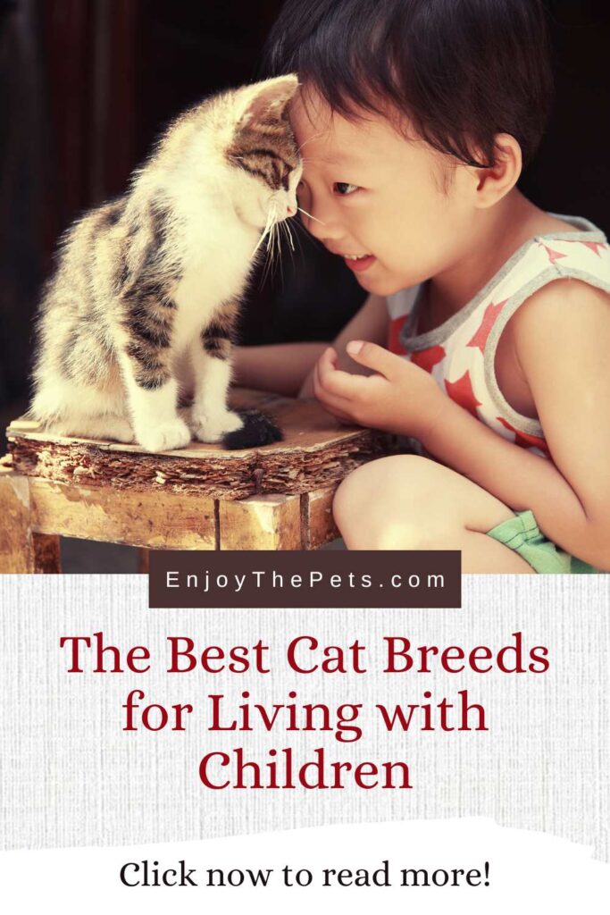The Best Cat Breeds for Living with Children - Enjoy The Pets