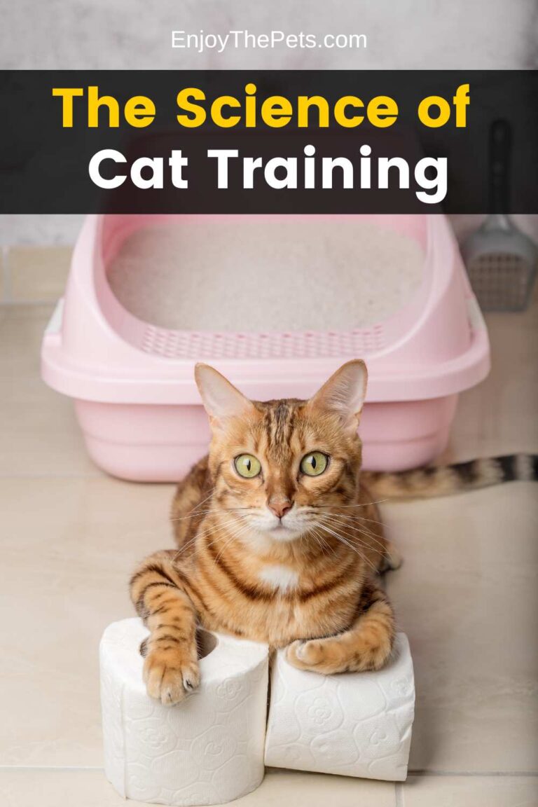 The Science of Cat Training: A Guide to Effective Behavior Modification ...