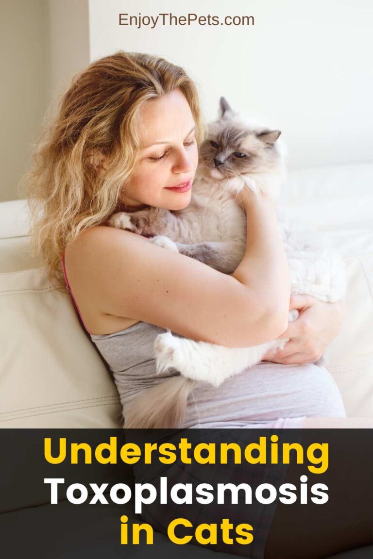 Understanding Toxoplasmosis in Cats (Prevention, Symptoms, and ...