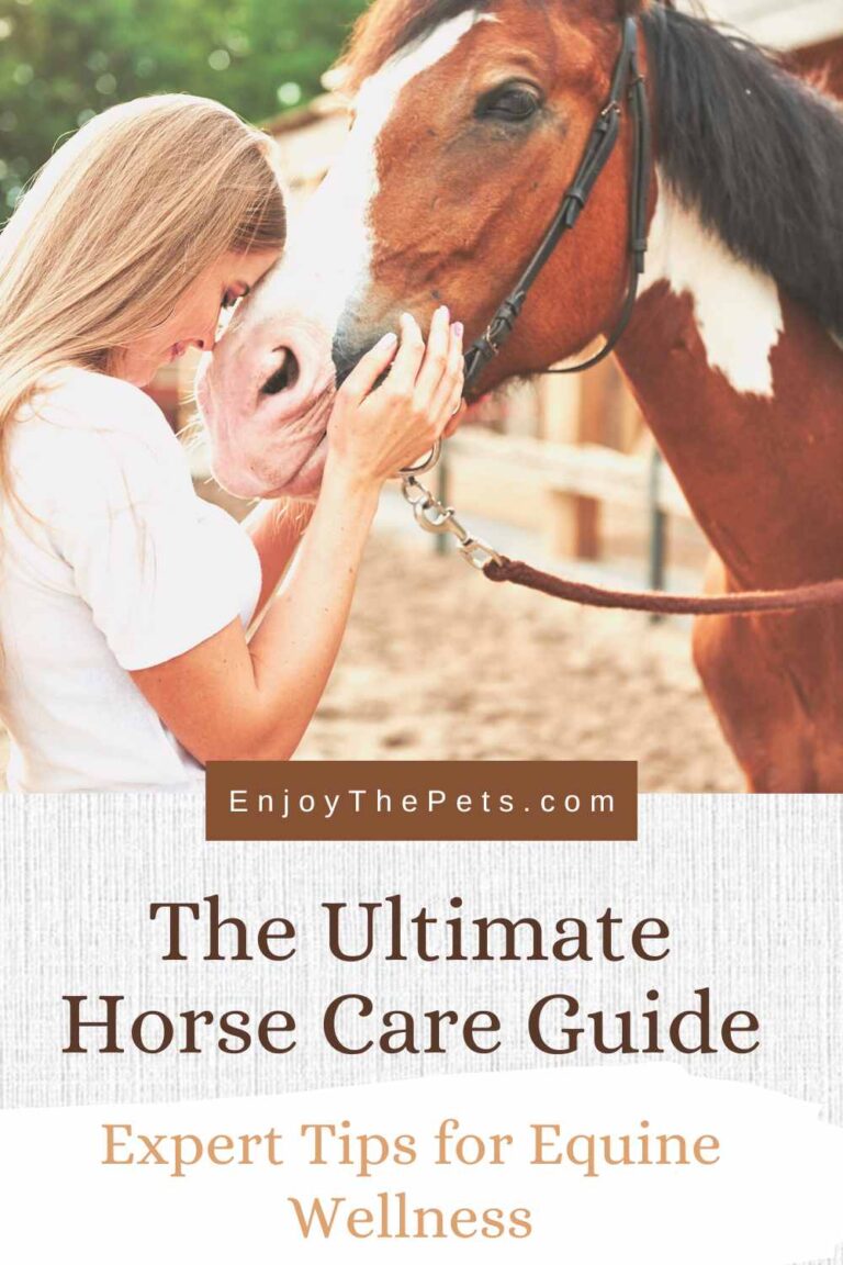 The Ultimate Horse Care Guide: Expert Tips for Equine Wellness - Enjoy ...