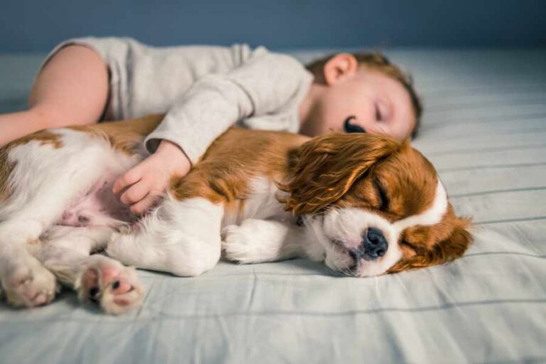 Nurturing a Healthy Bond: Introducing Your Dog to a Newborn Baby ...