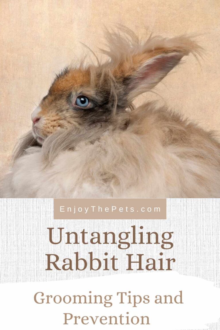 Untangling Rabbit Hair: Grooming Tips and Prevention - Enjoy The Pets