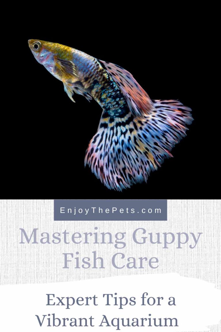 Mastering Guppy Fish Care: Expert Tips for a Vibrant Aquarium - Enjoy ...