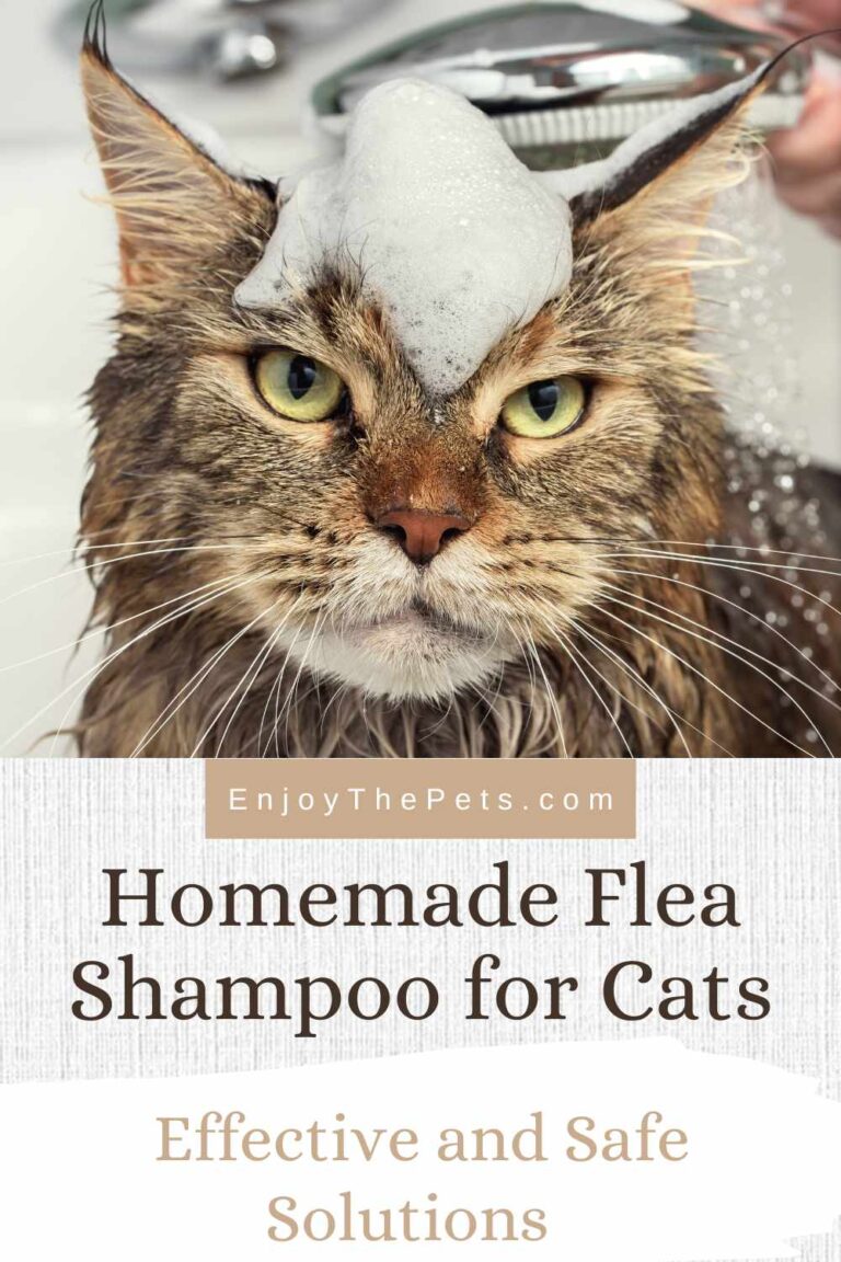 Homemade Flea Shampoo for Cats: Effective and Safe Solutions - Enjoy ...