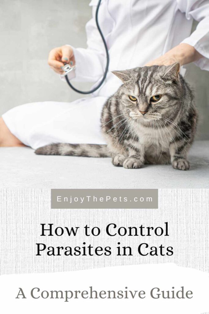 How to Control Parasites in Cats: A Comprehensive Guide - Enjoy The Pets