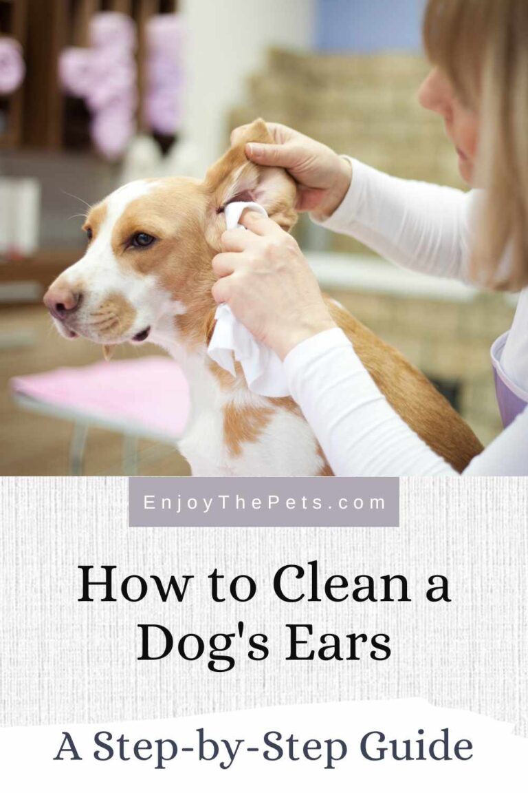 How to Clean a Dog's Ears: A Step-by-Step Guide - Enjoy The Pets